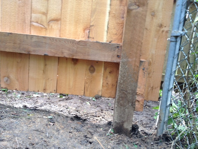 Solutions For Fence Problems That Are Common in Austin | Purple Fencing ...